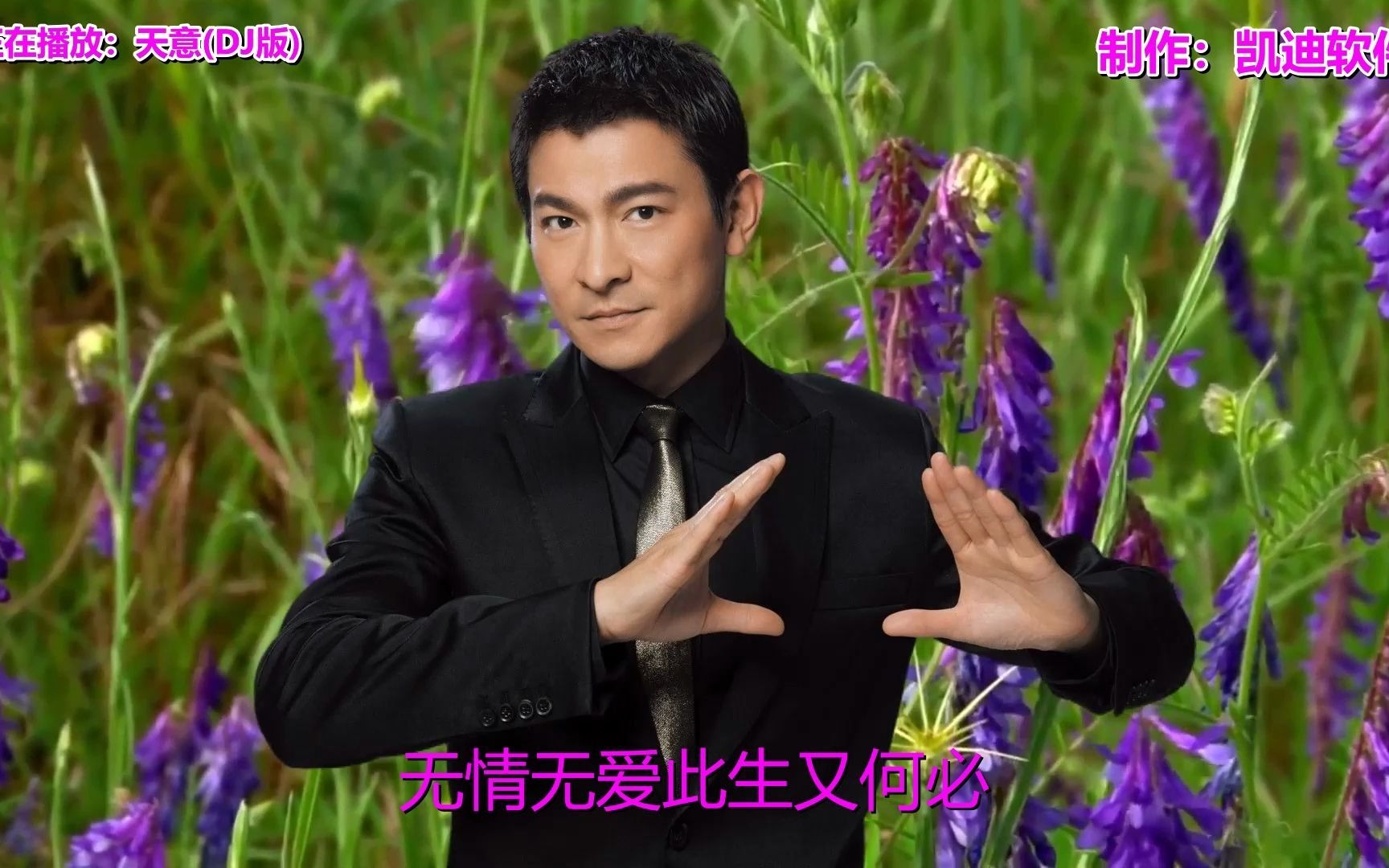 《天意(DJ版)》经典老歌,rmvb用什么剪辑软件