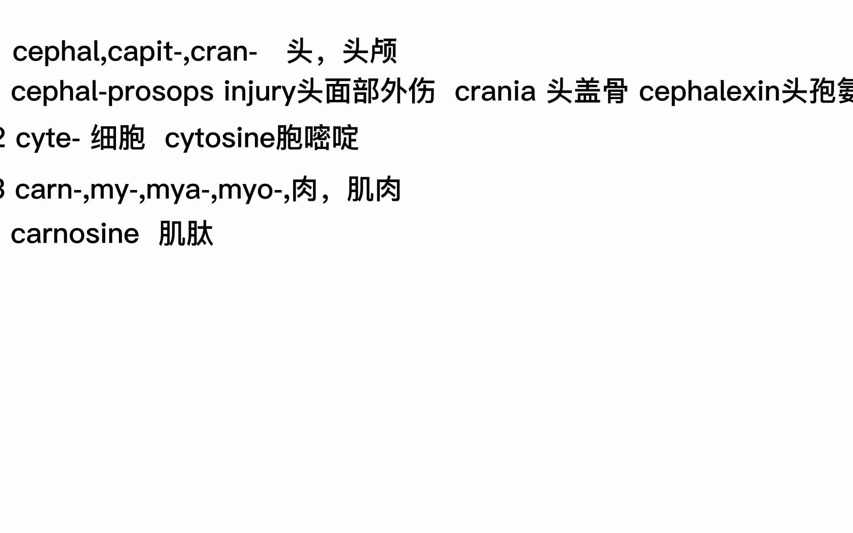 【药学专业英语】药学词汇/药学专业英语/医学专业英语之表不同器官...