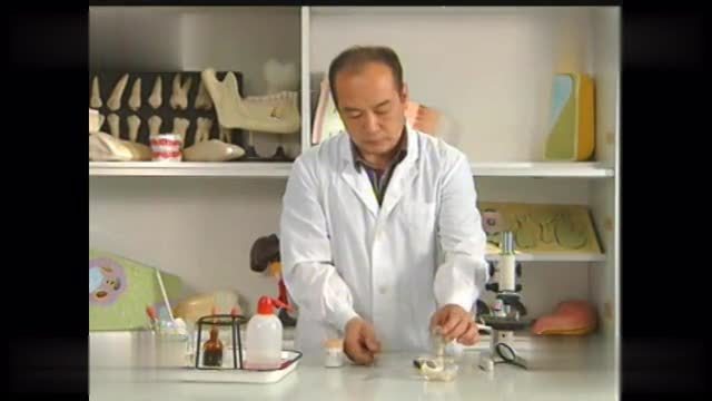 实验:观察DNA和RNA在细胞中的分布