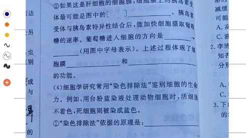 细胞膜的基本骨架
