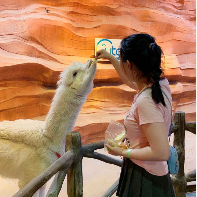 不会修电脑的王老师 