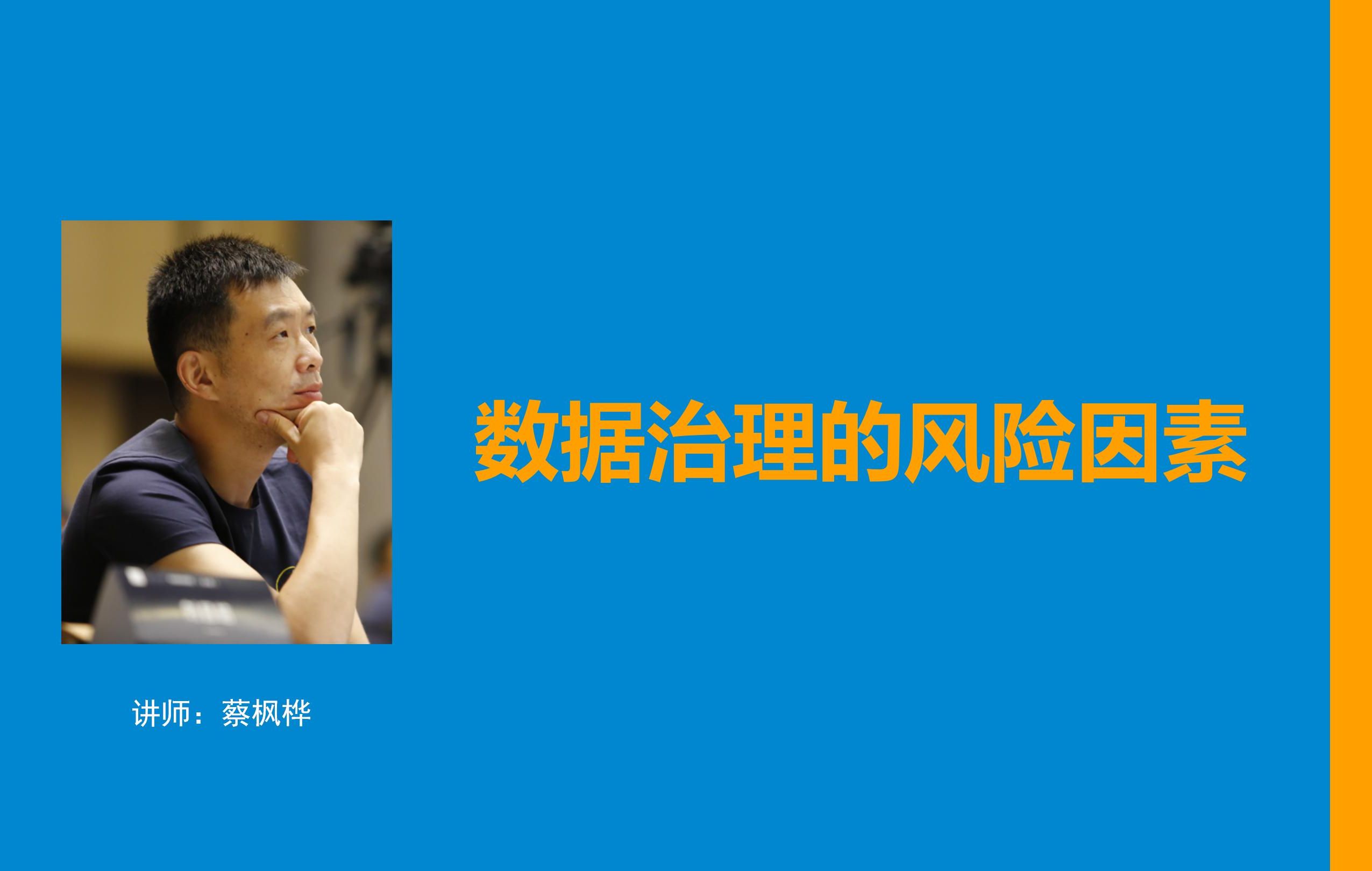 13_数据治理的风险因素