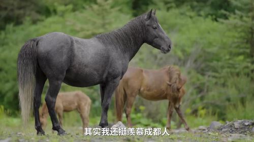 硬派电混越野上高原!东风猛士M817挑战极限,高反测试结果惊人