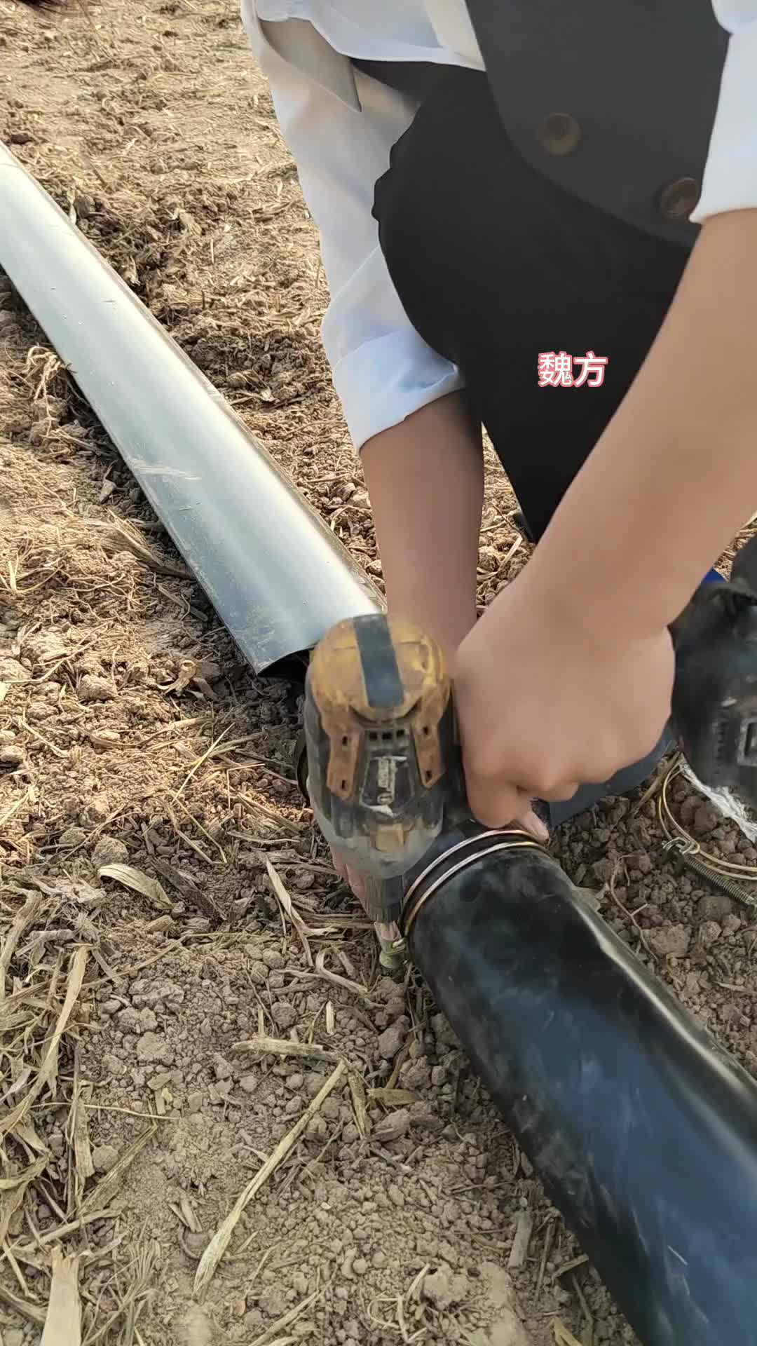 大蒜种植安装2.5寸微喷带,斜七孔,覆盖直径五到六米#农业种植 #...