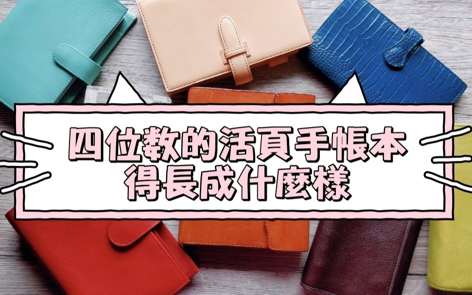 【不是闷】四位数的活页手帐本得长成啥样?| 我的爱好消费观