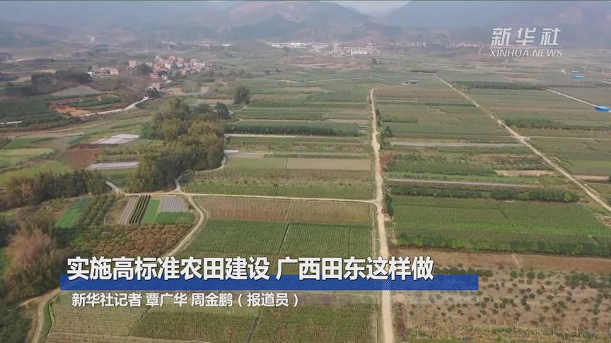 实施高标准农田建设 广西田东这样做