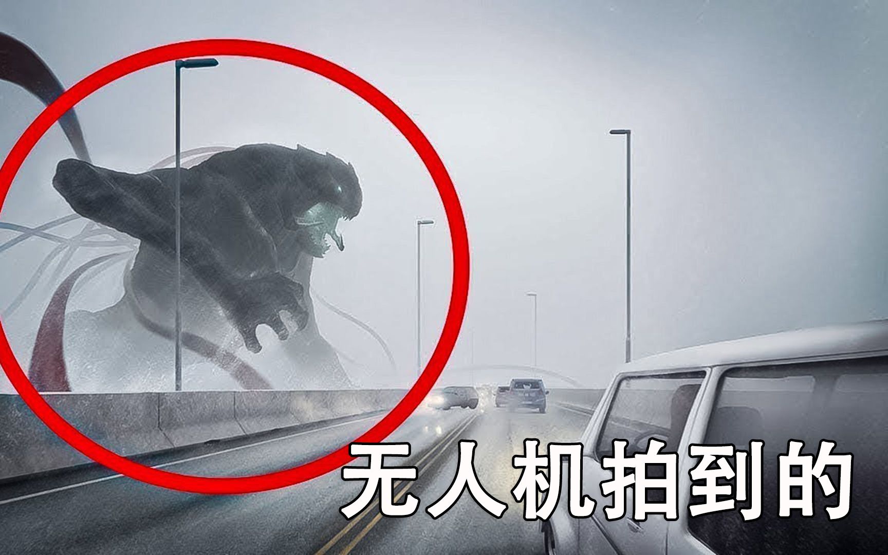 这架无人机捕捉到了不该被人类发现的东西