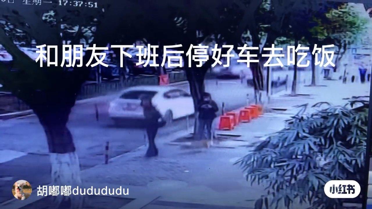 重庆一代驾当街掐女生脖子踢狗多次,互联网是有记忆的