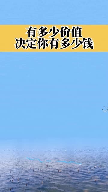 你有多少价值你就有多少钱