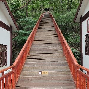 漂流瓶翱翔 