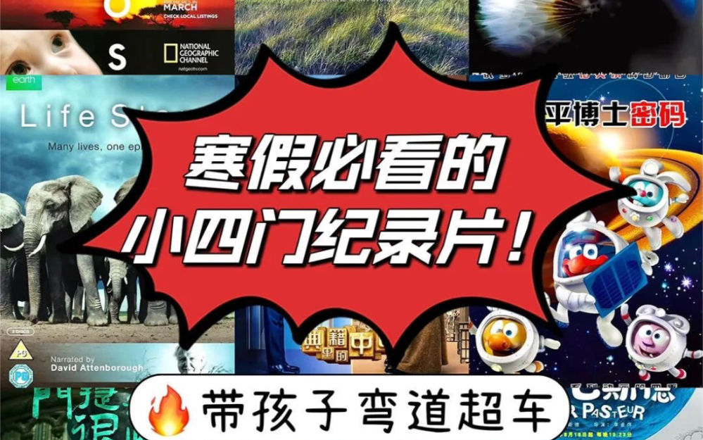 中小学生寒假必看小四门纪录片