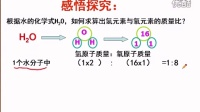 化学微课视频(物质组成的定量表示)