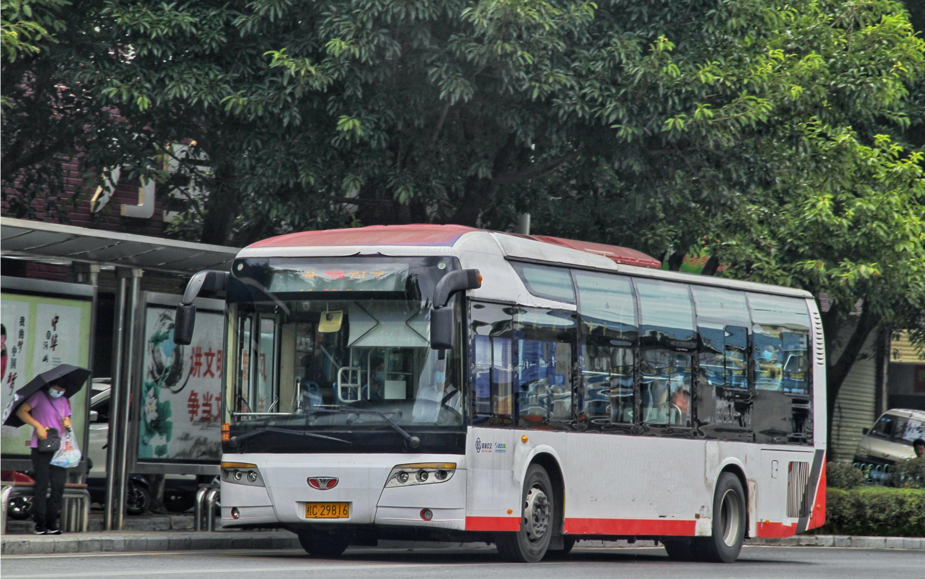 猫猫听车·纯享版·桂林公交大宇客车GDW6107HG/GDW6126HG...