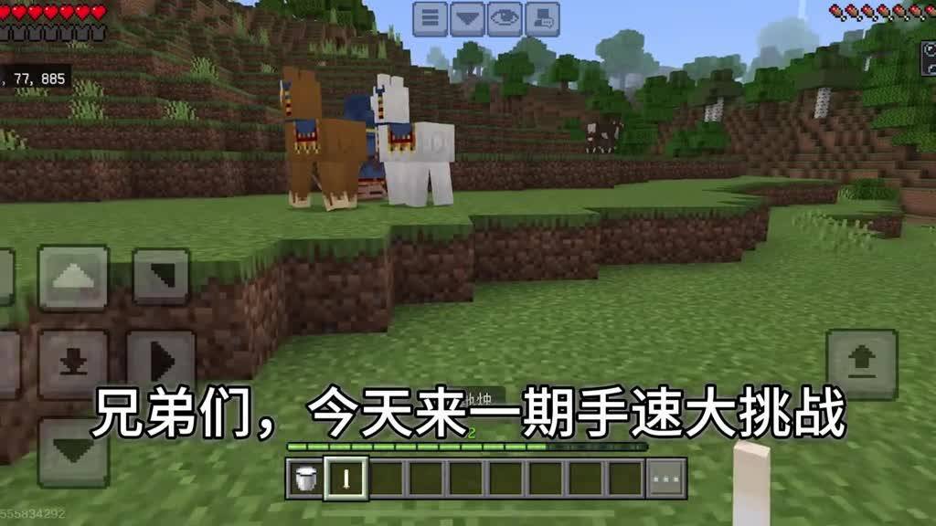 我的世界丨手速大挑战