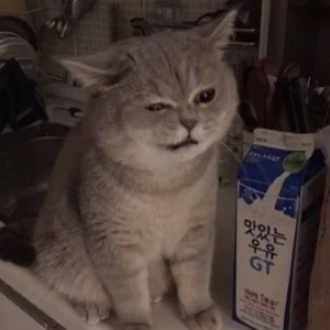 TianHaoooooo 