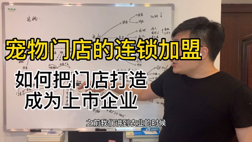 宠物市场暴涨背后的市场解析,如何打造连锁上市企业(下)