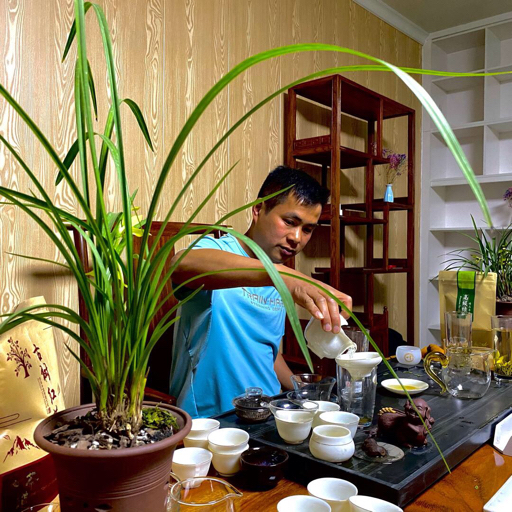 稻草野菌 