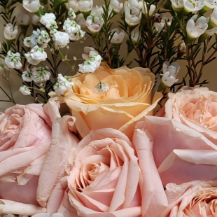 实在不知道你叫啥了 