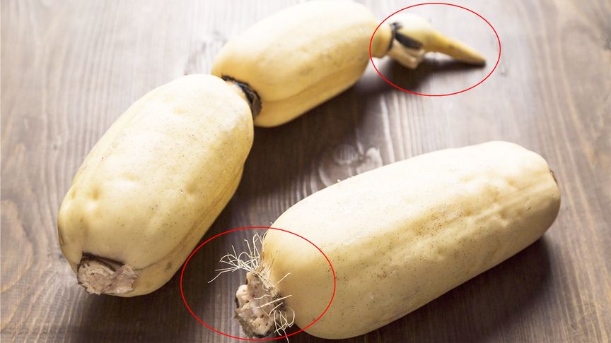 买回这样的藕别着急吃!扔到水里有大用处,买到你就赚大啦!