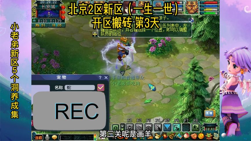 梦幻西游洋洋副本到底怎么刷@梦幻西游五开新手玩家