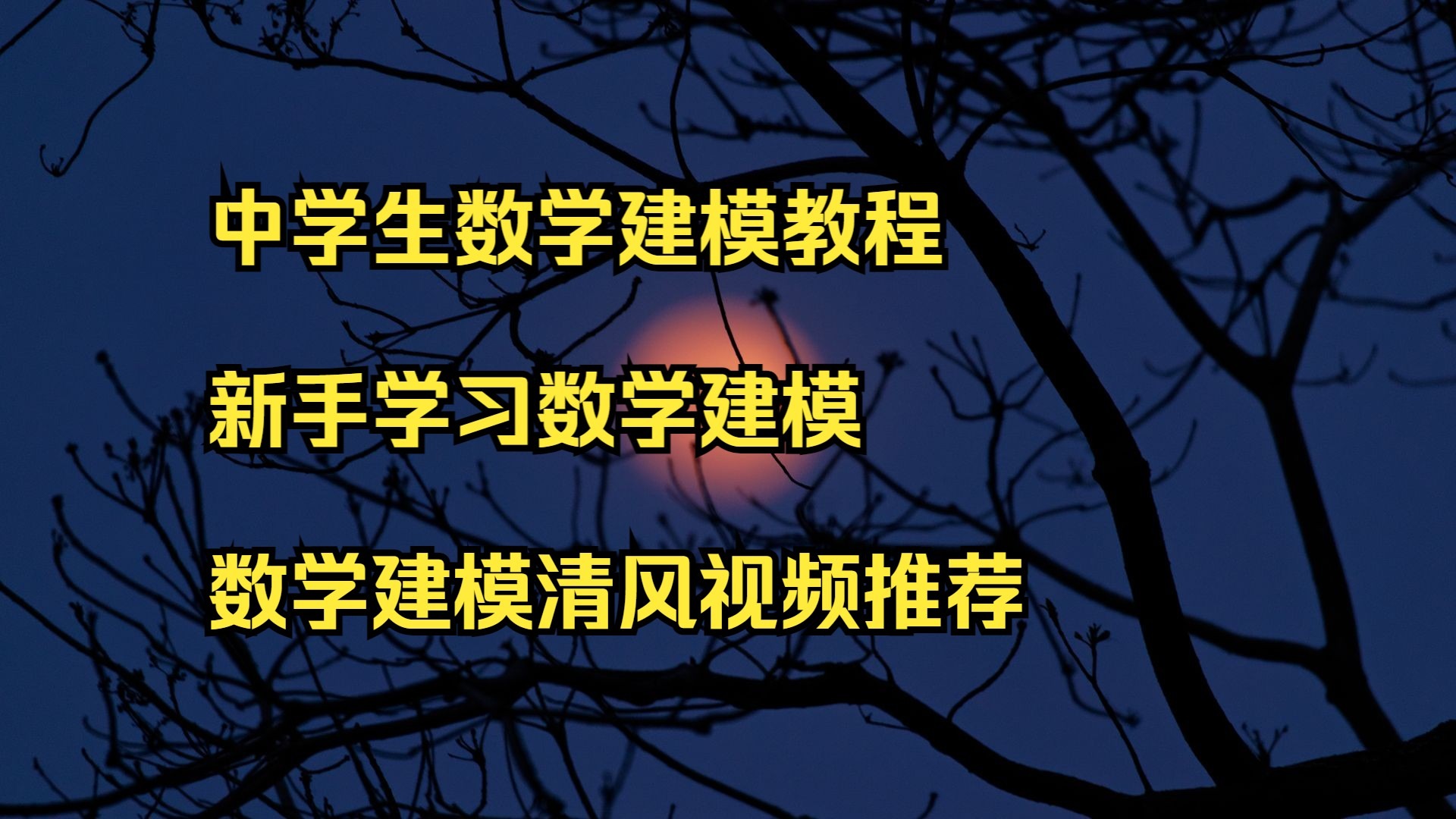 中学生数学建模教程 新手学习数学建模 数学建模清风视频推荐