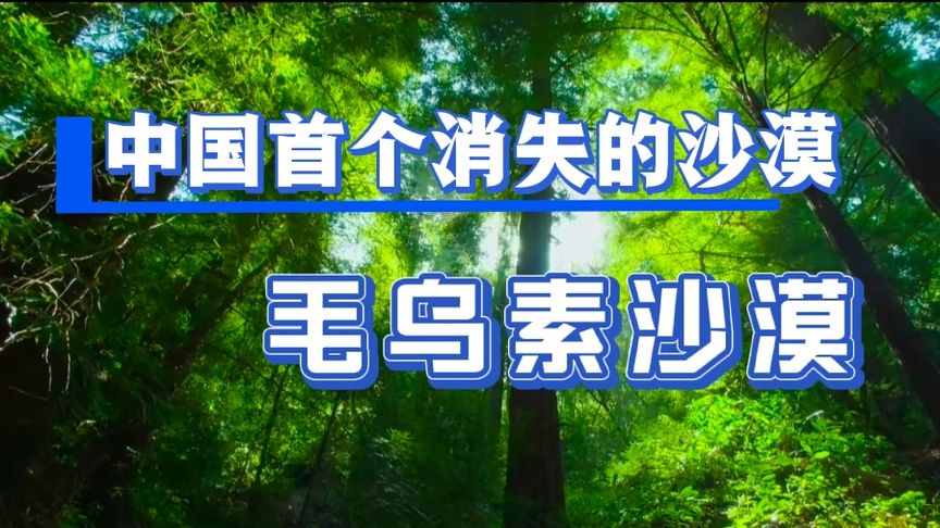 奇怪的知识:中国首个消失的沙漠,历代造林人将荒漠变成林海