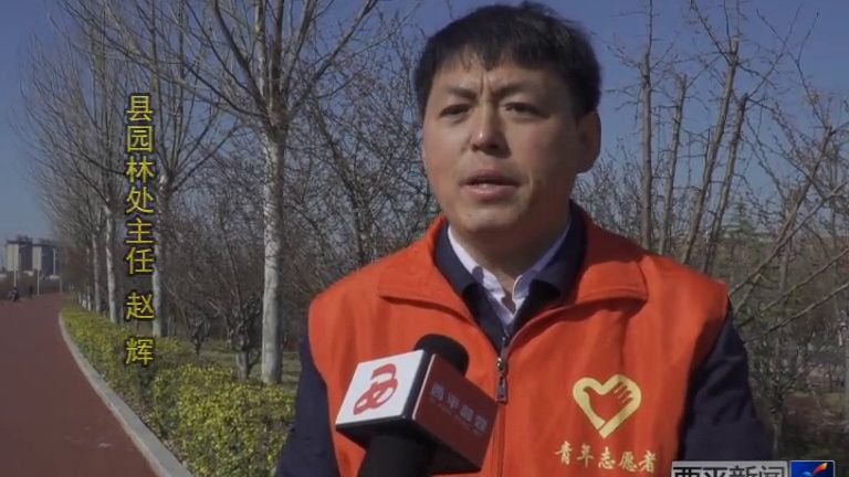 县城市管理局组织开展“爱绿护绿”志愿服务活动