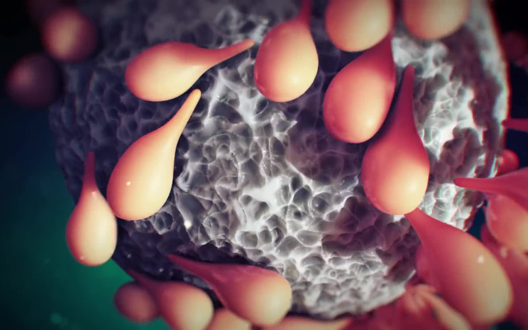 什么是体外受精?体外受精有什么危害?为什么会有体外受精?