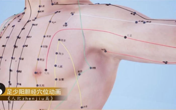 足少阳胆经穴位动态图