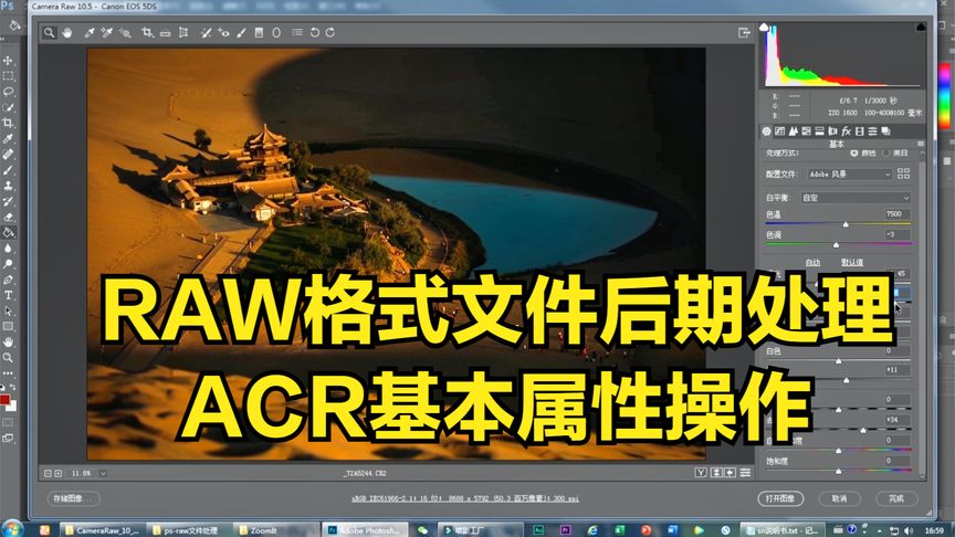 第41(+2)【现地教学】RAW格式文件后期处理-ACR基本属性操作