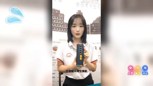 工业安防与通信建设: 环网交换、,光纤设备及机房工程
