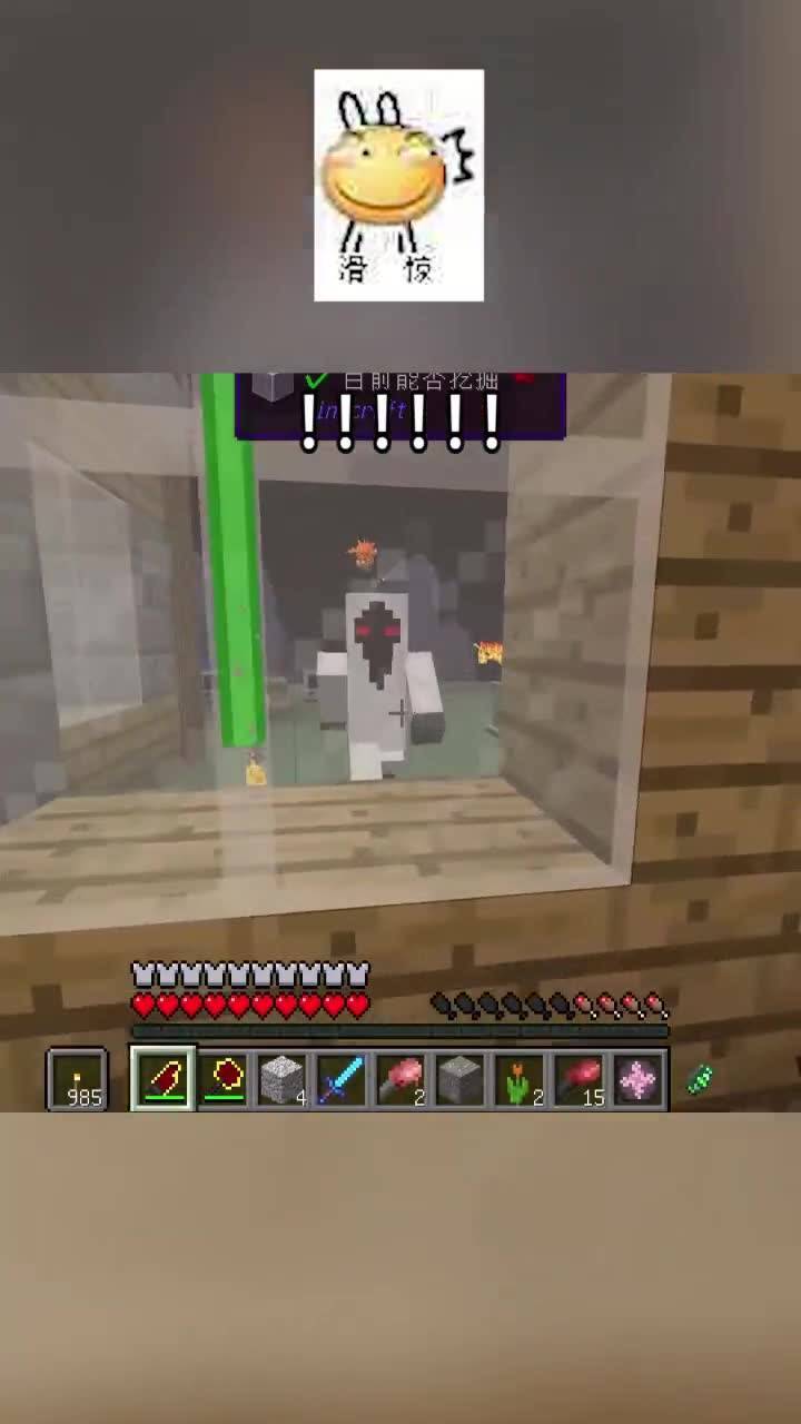 我的世界实体303太强了吧