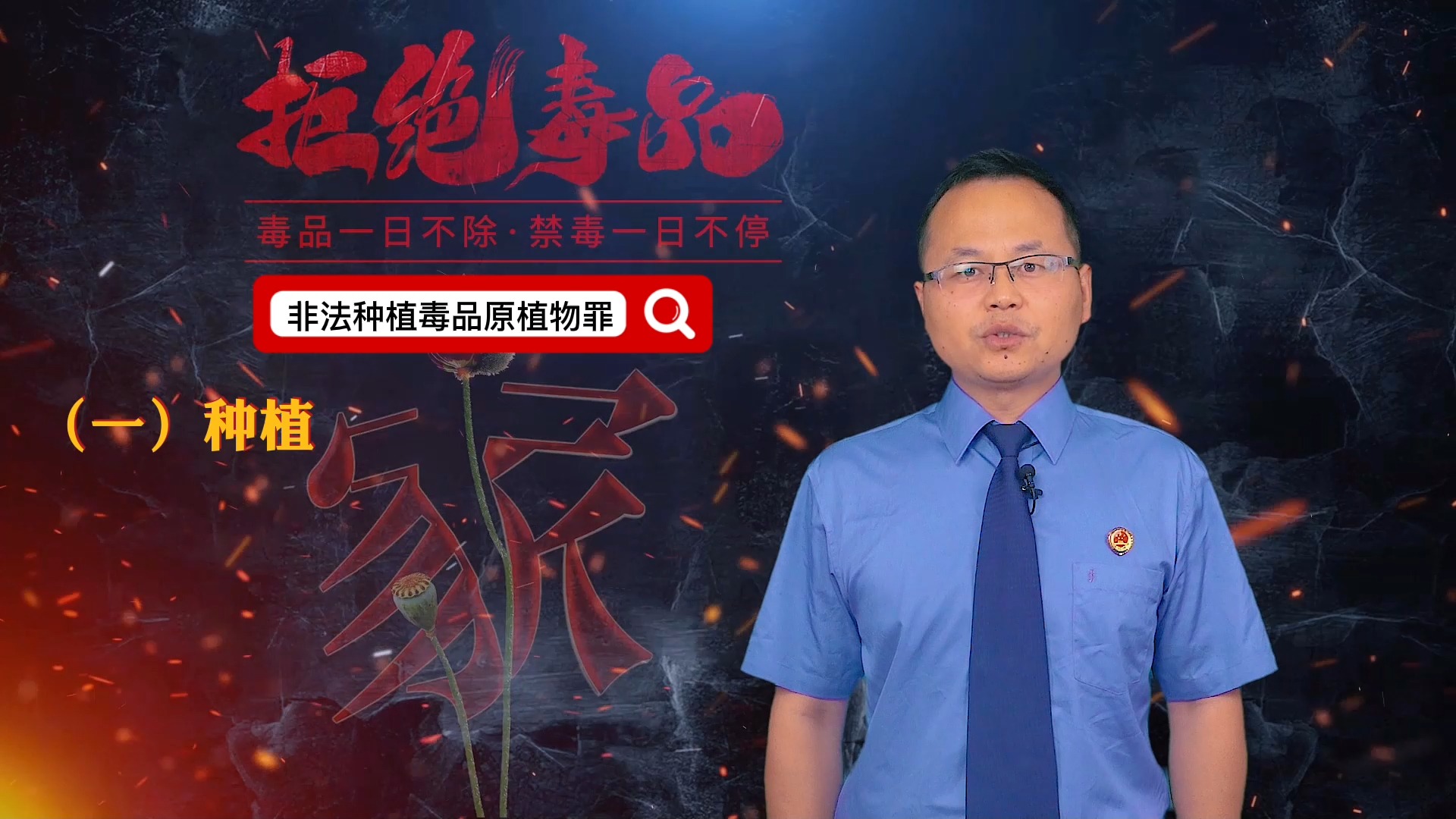 国际禁毒日 禁毒宣传(4)