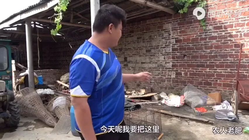迎接敏哥回新家～老肥美化改造厨庭院环境