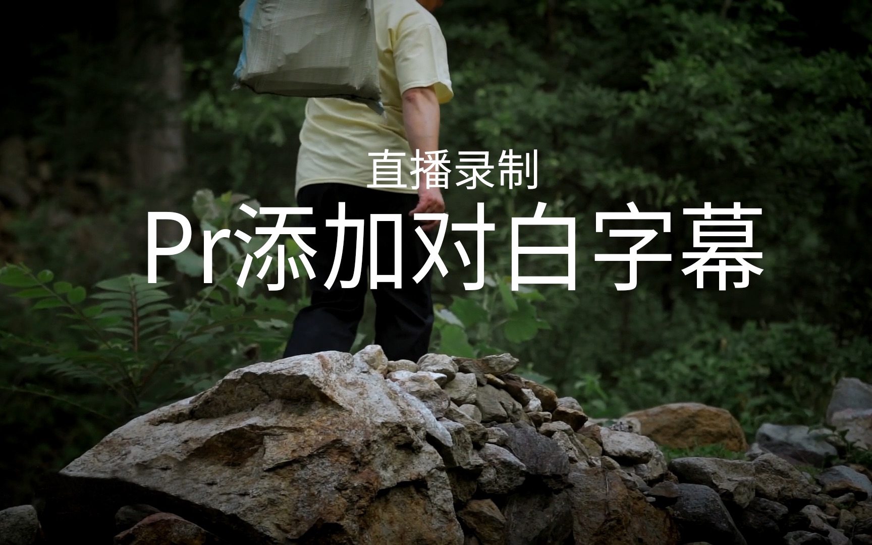 Pr给专题片 开箱视频添加对白字幕,用逐字稿快速给视频添加字幕