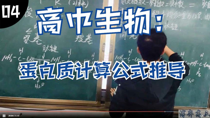 新高考:生物必修一蛋白质计算问题 (4)
