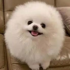 小小医学生宁宝 