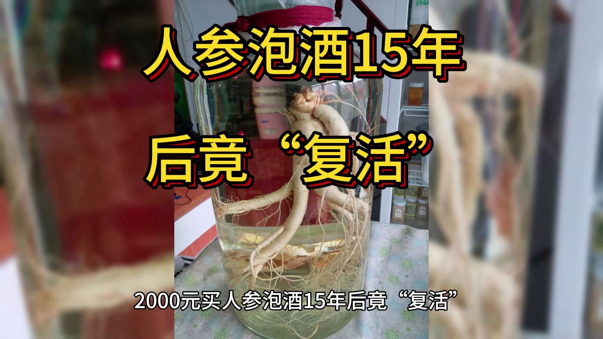 人参泡酒15年后竟“复活”,男子又惊又喜:半个月喝一坛