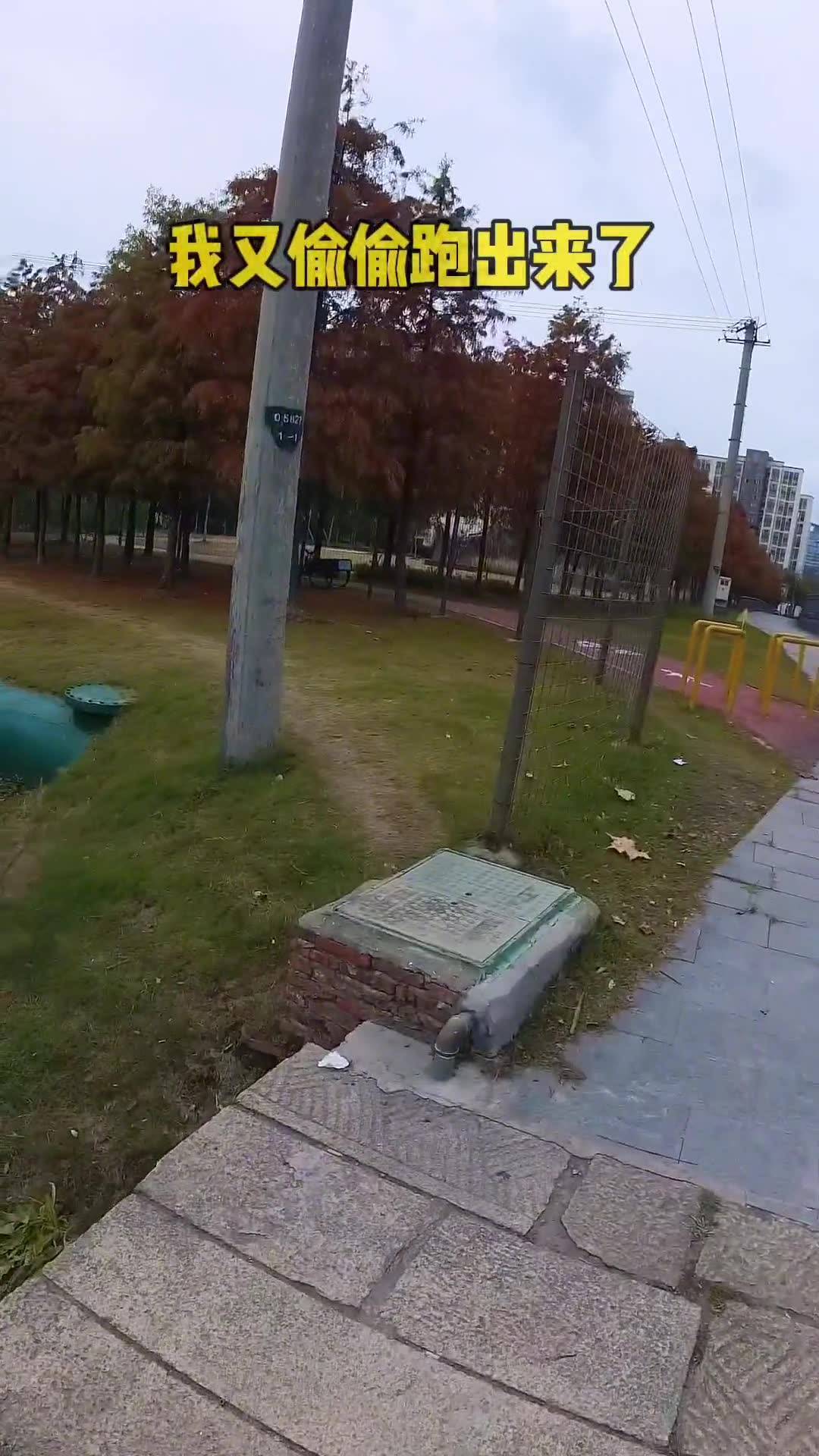 坐在湖边,听风声、观水面,感受大自然最真挚的语言