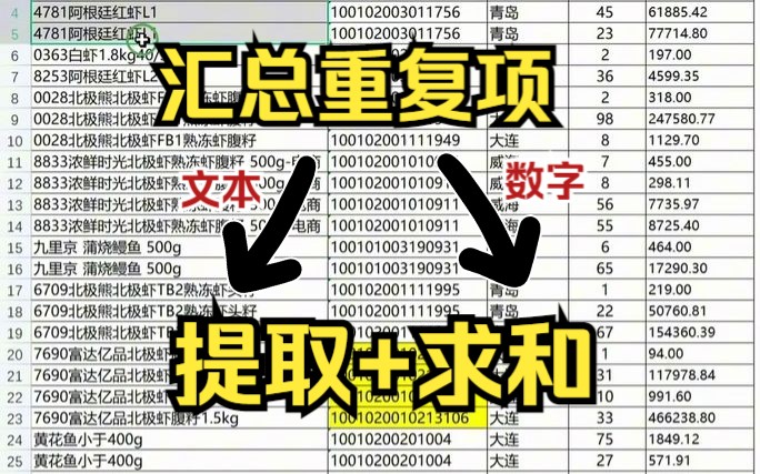 汇总重复项excel,文本部分提取,数字部分求和
