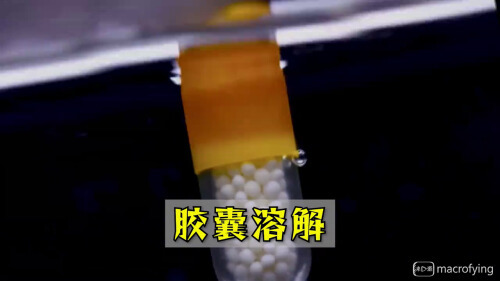 假如人类视角切换成微观世界,有多震撼?