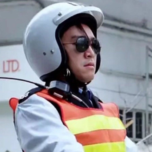 修手机的峰子 