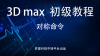 3D max 初级教程-对称命令