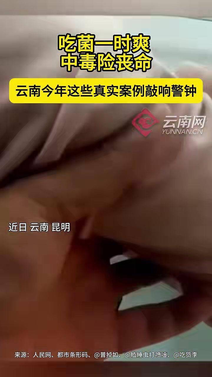 ...一时爽中毒险丧命!云南今年这些真实案例敲响警钟#云南野生菌#食品...