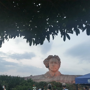 哦嚯嚯要努力奋斗 