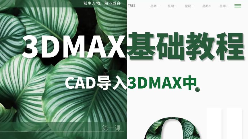 3Dmax室内教学 | CAD如何导入到3Dmax 中 | 鲸羽室内设计