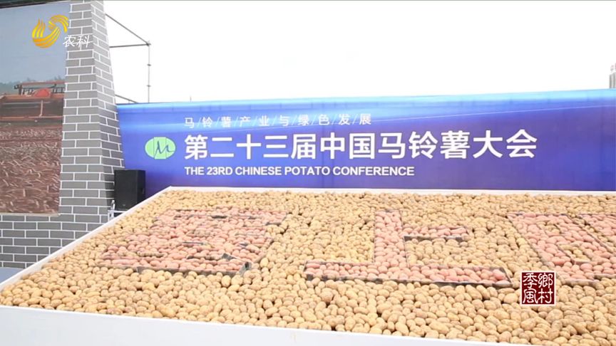 第二十三届中国马铃薯大会:跟着地蛋哥逛“土豆展”