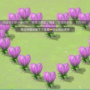 射手荣耀MVP 