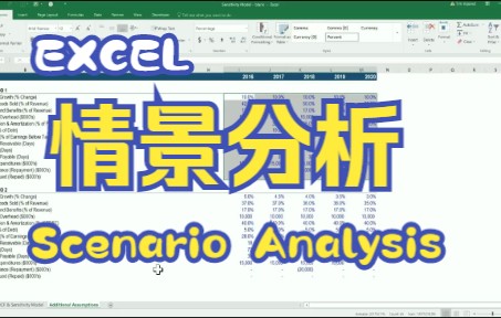 情景分析 Excel 金融建模