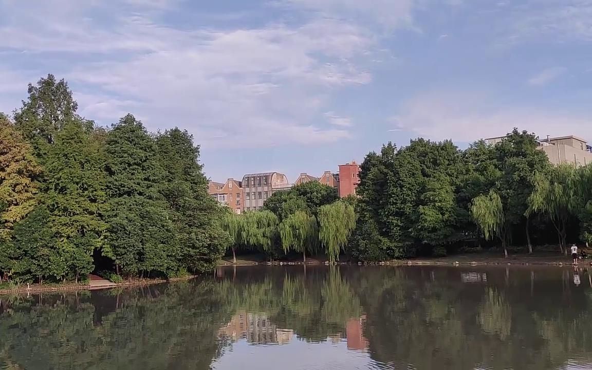 【冥の归】高桥港(上海赵志良法律咨询有限公司对面)拍摄视频